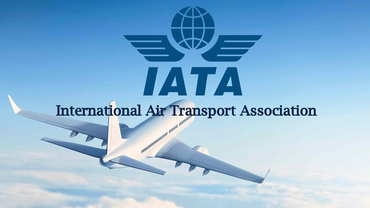 IATA Maintenance Support for Travel Agents | IATA Support